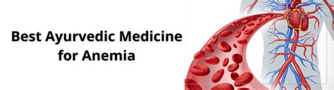Best Ayurvedic Medicine For Anemia Best Ayurvedic Medicine For Anemia