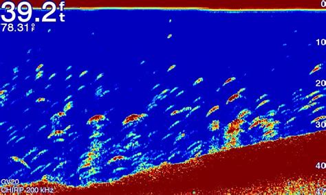 Garmin Echomap Chirp Cv
