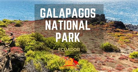 The Galapagos National Park Ecuadors Oldest Park Wdxo