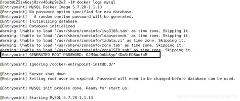 Docker下mysql数据持久化到宿主机 Csdn博客