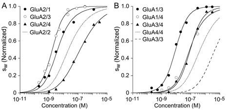 Isotherms For Heteromeric Assembly Of Ampa Receptor Atds Download