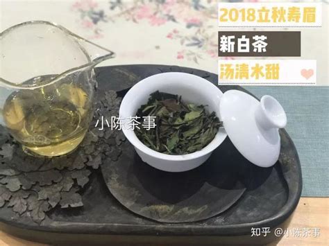冲泡界的干泡和湿泡究竟有什么区别手把手教你布置干泡茶桌 知乎