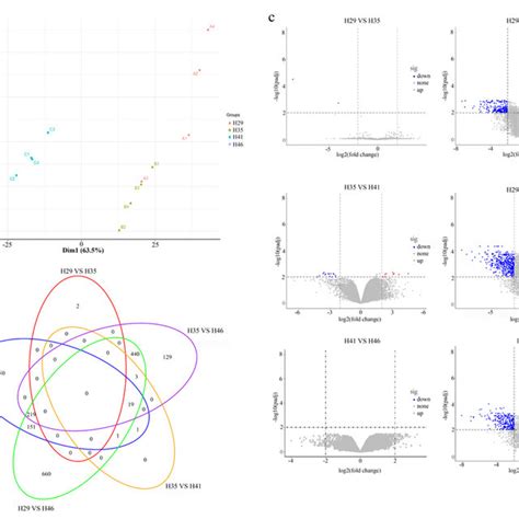 Analysis Of Gene Expression Patterns A The Results Of Pca Analysis Download Scientific