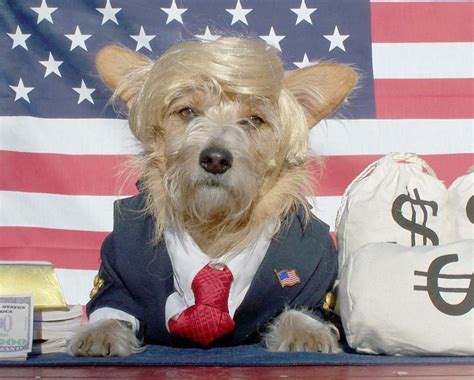 Trump Halloween Costume Contest