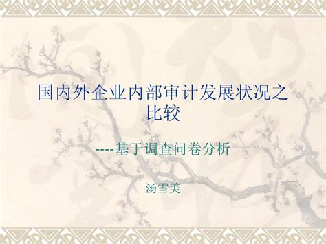 国内外企业内部审计发展状况之比较 文档之家