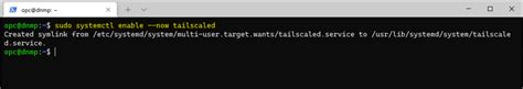 Tailscale 实现「出口节点」exit Node（导向所有流量经这出口节点tailscale Exitnode Csdn博客