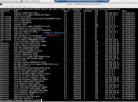 CentOS 7 5 透過 Helm 安裝 OpenStack Queens 不自量力 の Weithenn