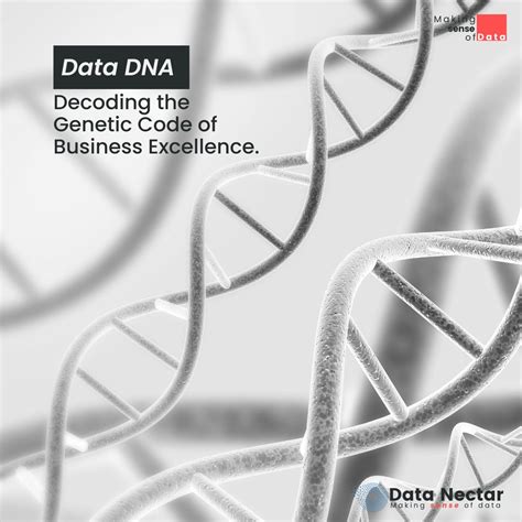 Data Nectar On Linkedin Datanectar Businessexcellence Innovationjourney Datadrivendecisions