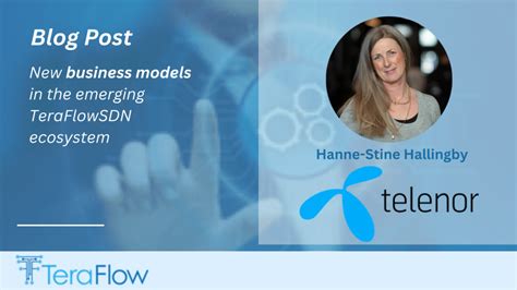 New Business Models In The Emerging Teraflowsdn Ecosystem Teraflow