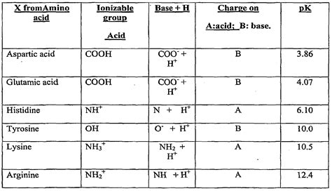 Amino Acid Ionization Chart At Daniel Friday Blog