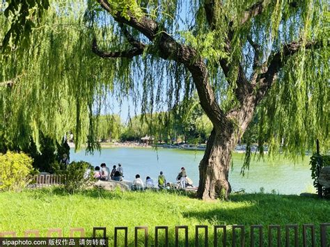 北京避暑纳凉好去处陶然亭公园的夏天