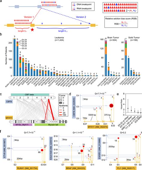 Selection Bias In Oncogenic Fusions A Model Of Selection Dna