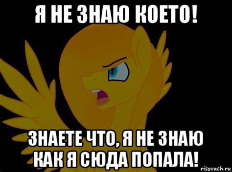 я не знаю което знаете что я не знаю как я сюда попала Мем Пони1