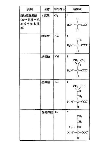 20种氨基酸的分类和结构 word文档在线阅读与下载 无忧文档