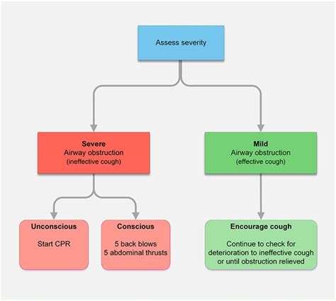 Guidelines Adult Basic Life Support And Automated External