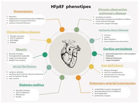 The Main Phenotypes And Suitable Treatment In Patients With Hfpef [22