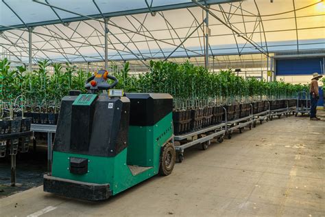 We Use An M Train Automation Tree Source Citrus Nursery