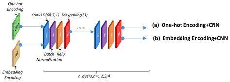 Prediction Of Dna Binding Proteins Using Local Features And Long Term Dependencies With Primary