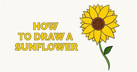 How To Draw A Sunflower Really Easy Drawing Tutorial
