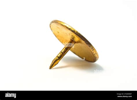 Close Up Of A Single Brass Drawing Pin Push Pin Or Thumb Tack