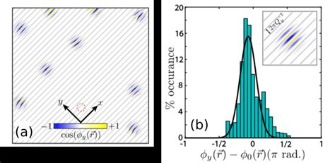 Experimental Stm Data 66 Showing Global Spatial D Cdw Phase Coherence