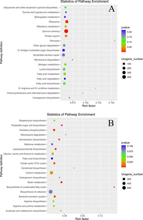 Differential Gene Kegg Pathway Enrichment Analysis Between Groups A