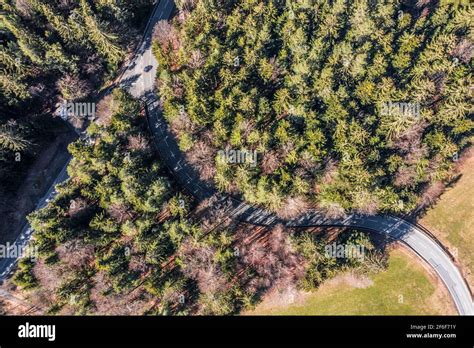 Image Of Aerial Shot With Drone Of A Road In Dense Conifer Forest In
