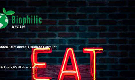 The Life Cycle Of A Burmese Python