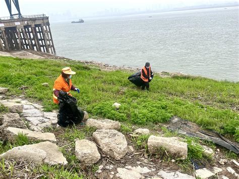 净滩护江迎“青马”，武汉青山城管开展江滩环境整治行动 极目新闻