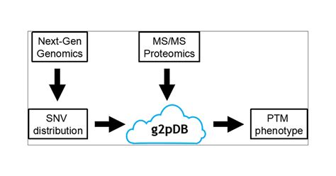 G2pdb A Database Mapping Protein Post Translational Modifications To Genomic Coordinates