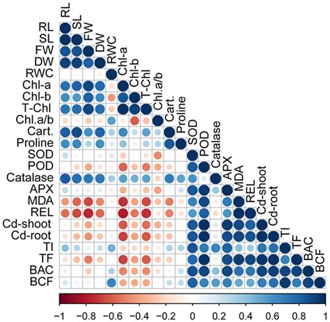 Pearsons Correlation Analysis R Values Between Different Studies Download Scientific