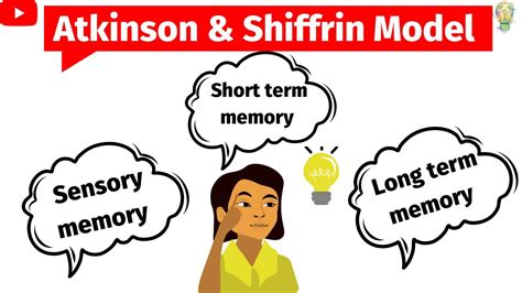 Atkinson And Shiffrin Model Of Memory Multi Store Model Of Memory