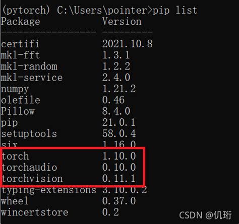 Pytorch 安装（非英伟达显卡win10python38）python38安装pytorch Csdn博客