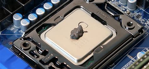 How Often Reapply Thermal Paste Importance To Apply New Paste Techdim