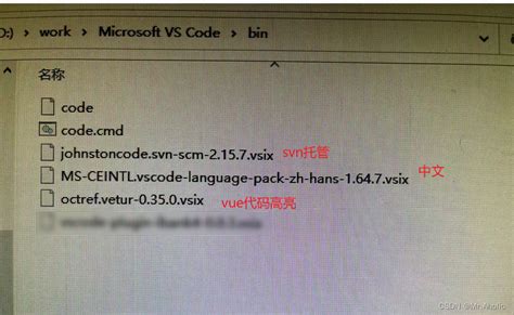 简单易操作 vscoe离线安装插件【步骤 图片 插件】 vscode离线安装插件 csdn博客