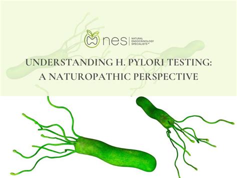 H Pylori Testing Natural Endocrinology Specialists