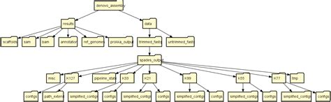 VEME NGS De Novo Assembly Tutorial VEME NGS Denovo Assembly
