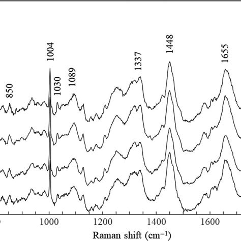 Averaged Raman Spectra Of Hek293 Cells A And B Infected With The Adc
