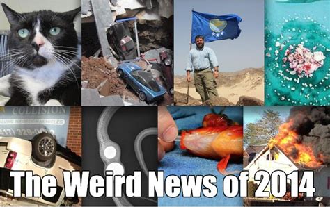 Miss Cellanias Top 20 Weird News Stories Of 2014 Crazy News Stories