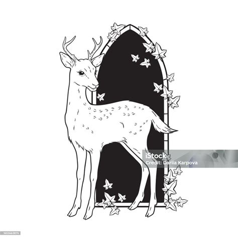 담쟁이 덩굴 라인 아트와 도트 아트 인쇄 디자인 벡터 일러스트 레이 션과 고딕 아치 위에 손으로 그린 사슴 새끼 사슴 가공의 인물에 대한 스톡 벡터 아트 및 기타 이미지
