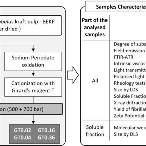 Schematic Representation Of The Cationic Functionalization Of Cellulose Download Scientific