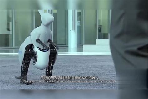 日本制造机器人小老婆，一万多块买回家，有它你还要女朋友吗？ 老婆 机器人 制造