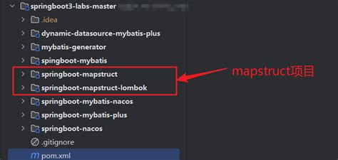 Mapstruct对象映射在springboot3中这样用就对了 贝恩聊架构