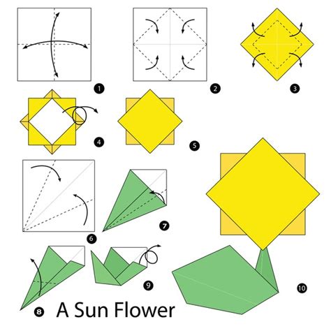 Origami Flower Instructions Over 65 Royalty Free Licensable Stock
