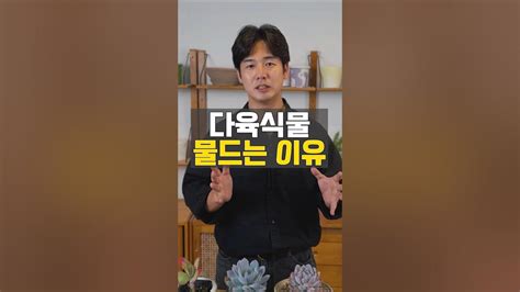 다육이가 단풍드는 원리와 이유 다육식물키우기 Youtube