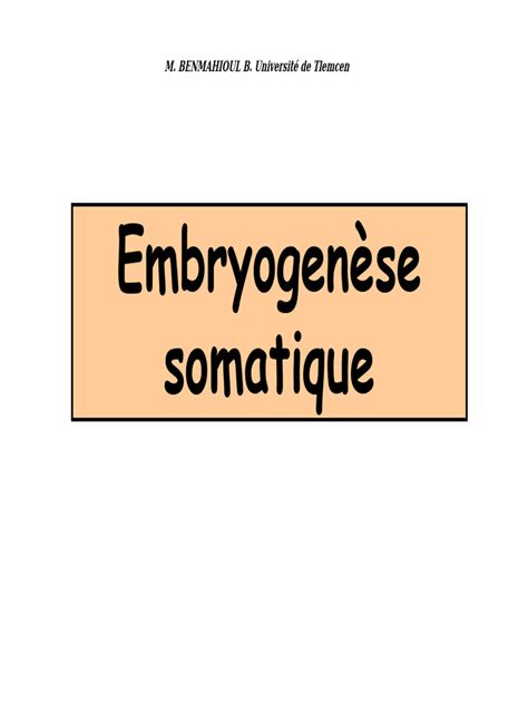 Embryogenèse Somatique Pdf Plantes Biologie