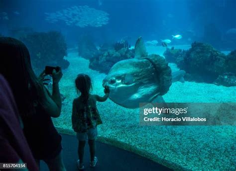 Safe The Planet Photos And Premium High Res Pictures Getty Images