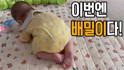 이번엔 배밀이다 육아 브이로그 생후 5개월 아기 Youtube
