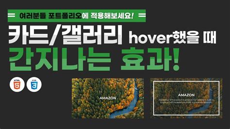 Htmlcss활용하여 카드갤러리에 Hover시 간지나는 효과만들기 Youtube