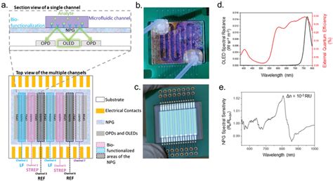 A Schematic Representation Of The Sensor Chip Working In Download Scientific Diagram